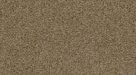 Our Specials | Bennetts Carpets